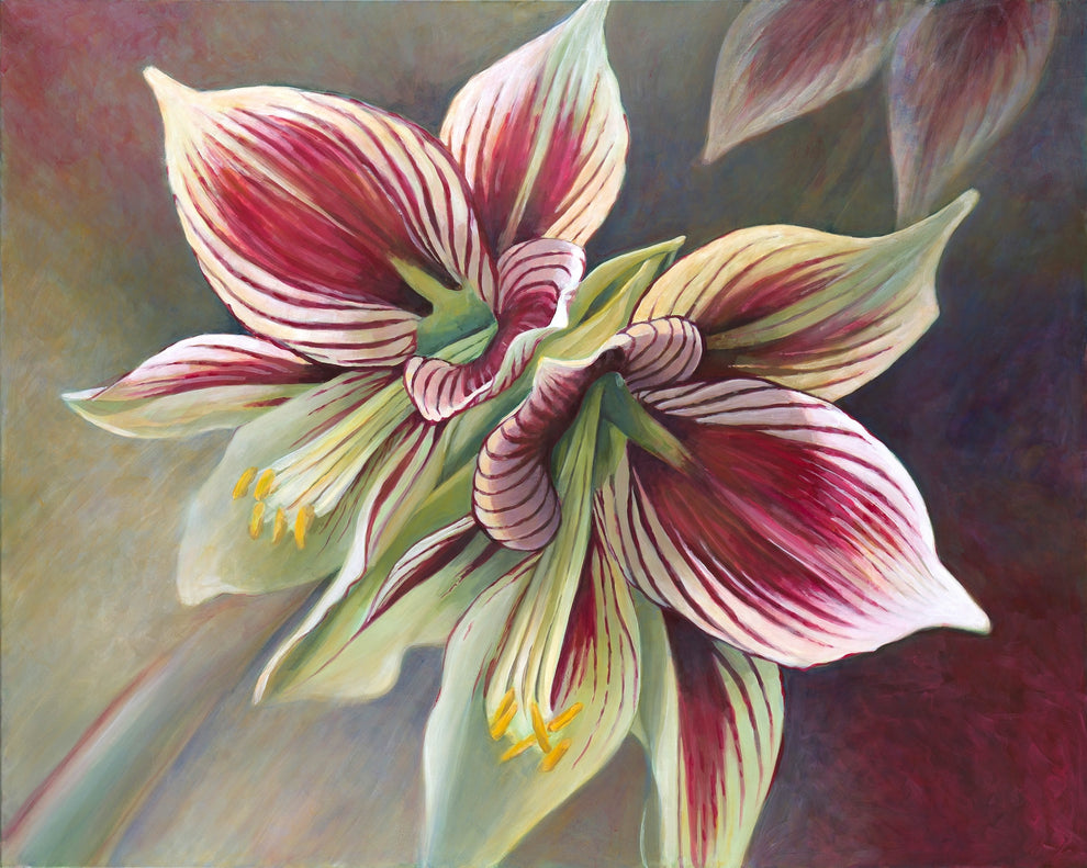 Butterfly Amaryllis Fine Art Print | Louise Pasterfield Art – My Store